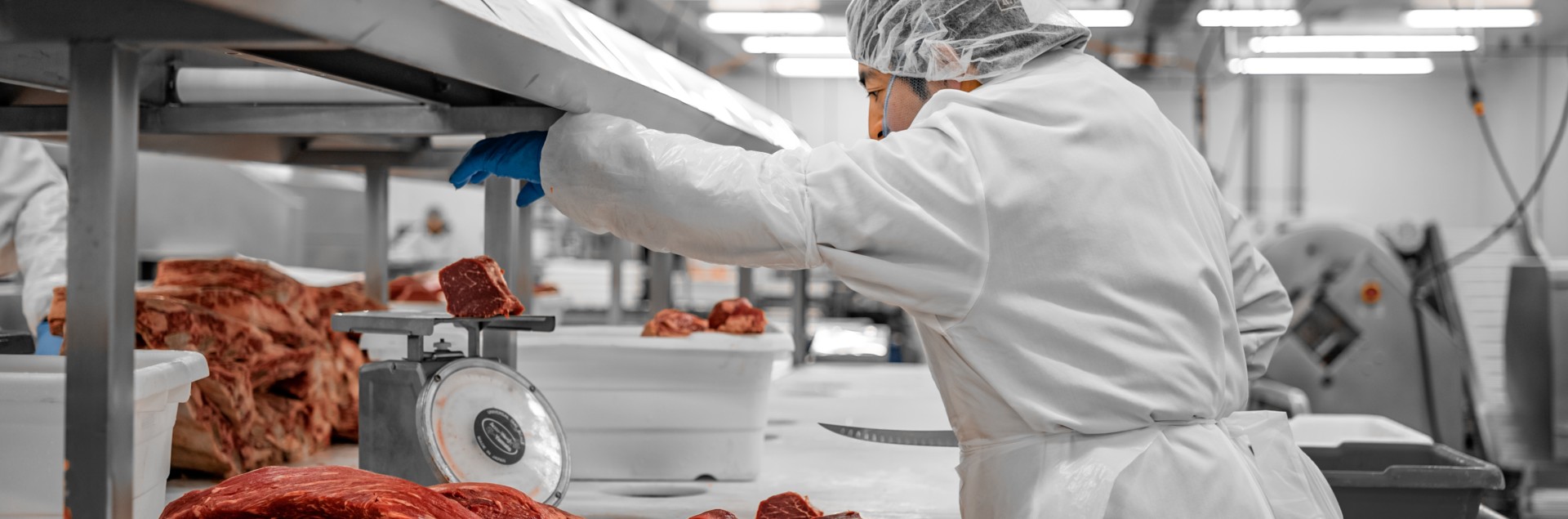 Food Safety - Sierra Meat